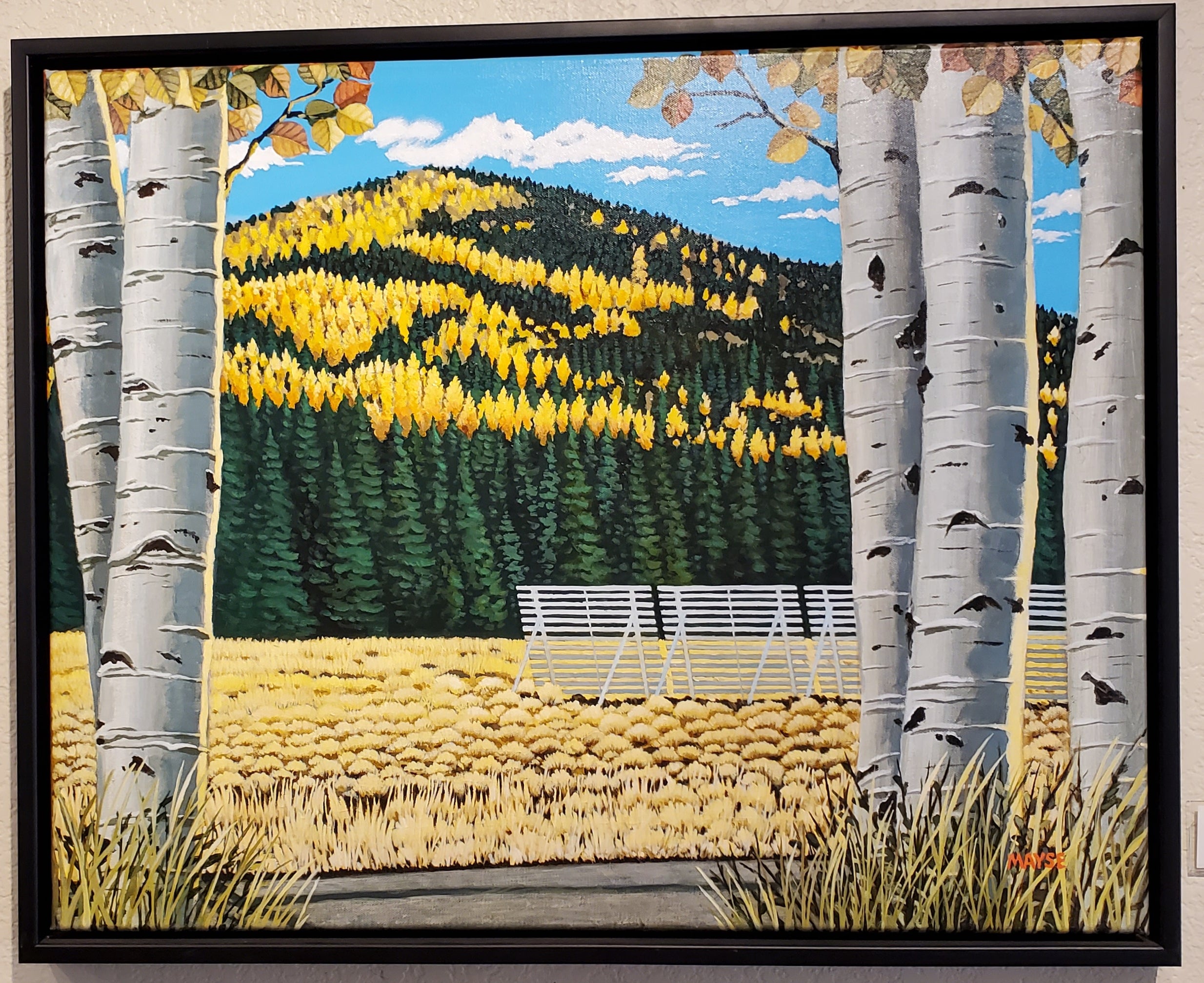 BM Snow Fence — Turquoise Tortoise Gallery