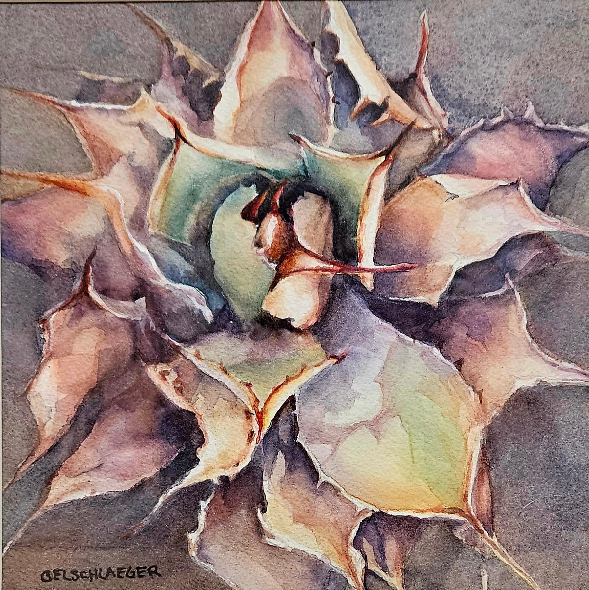 MO Fleeting Moment — Turquoise Tortoise Gallery