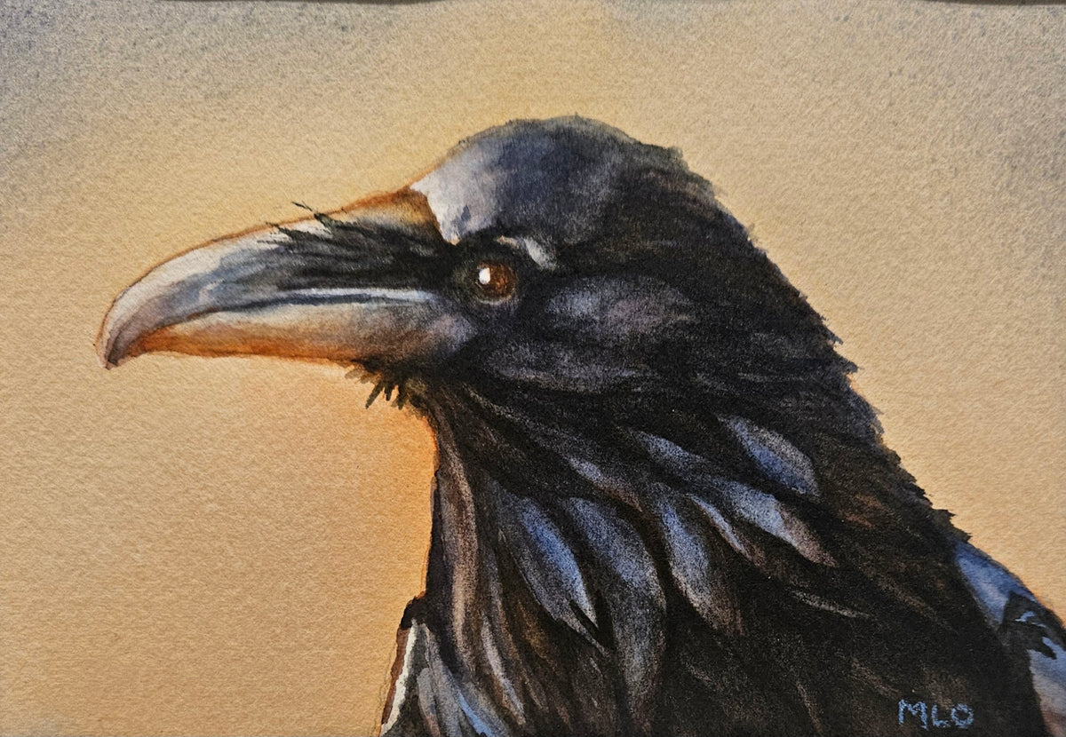 MO Portrait in Black and Blue (Raven) — Turquoise Tortoise Gallery