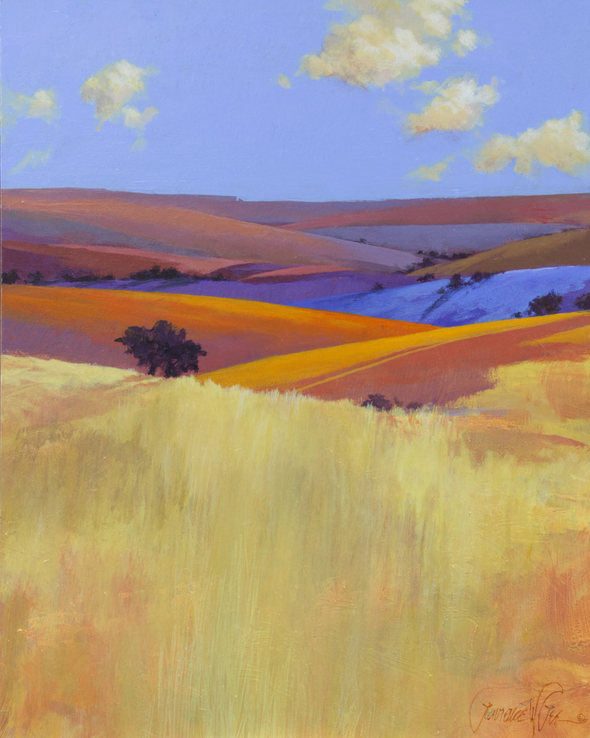LL Afternoon Dreams — Turquoise Tortoise Gallery