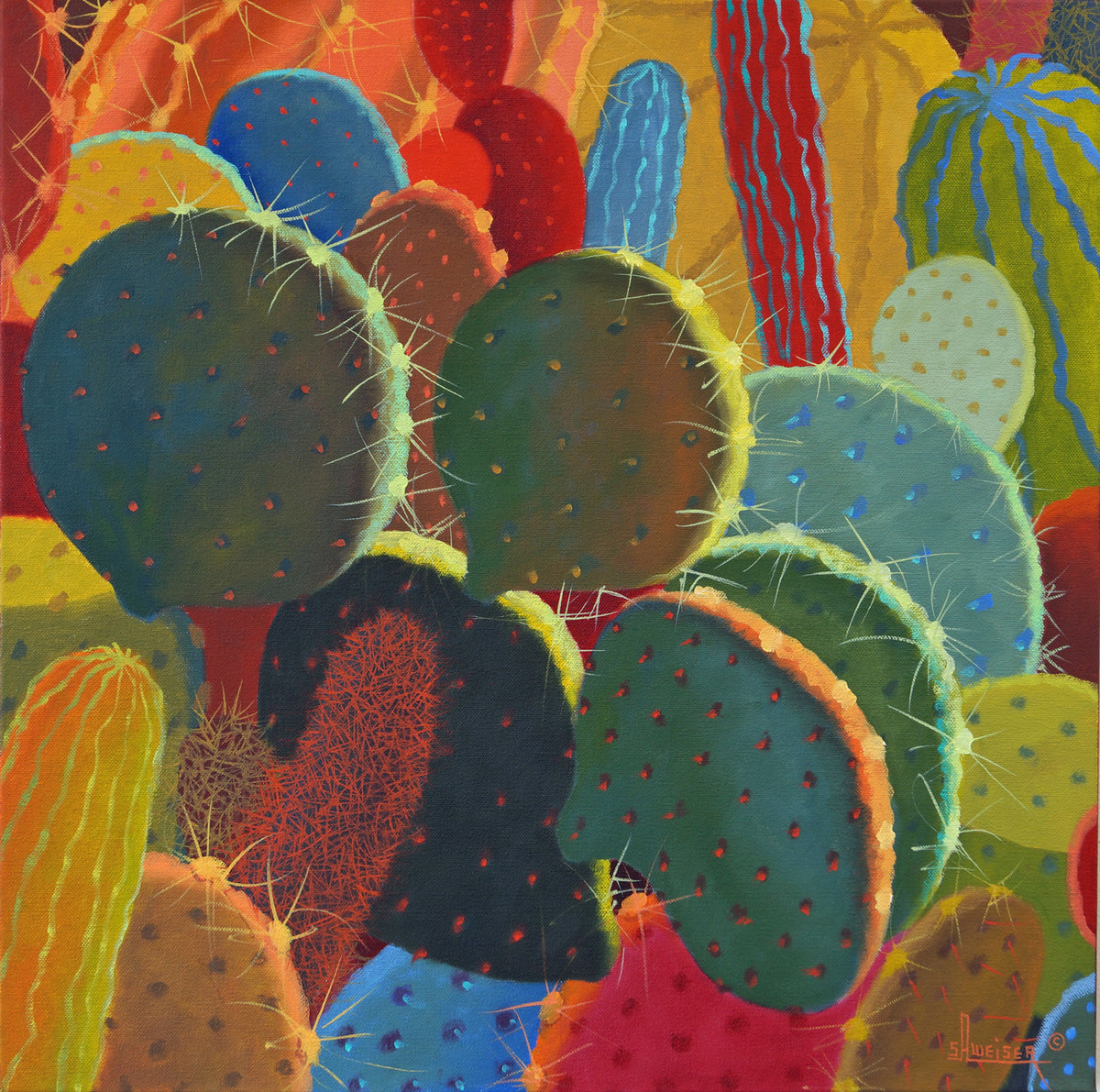 SW Desert Garden #30 — Turquoise Tortoise Gallery