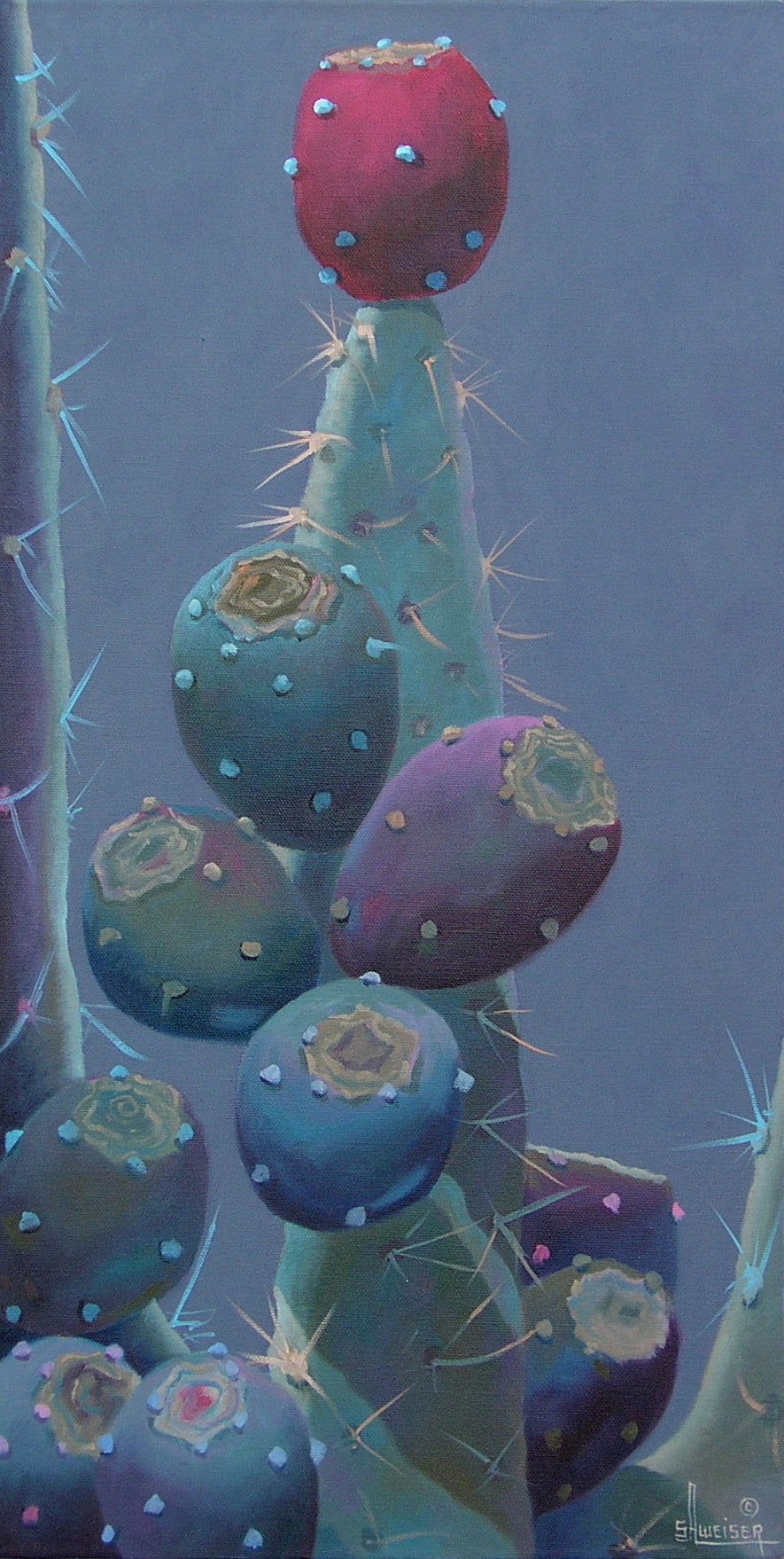 SW Evening Queen — Turquoise Tortoise Gallery