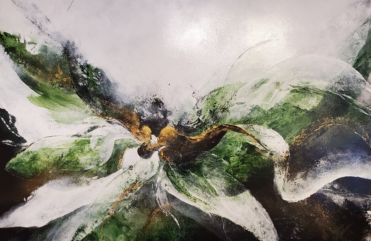 AC12 Force of Nature — Turquoise Tortoise Gallery