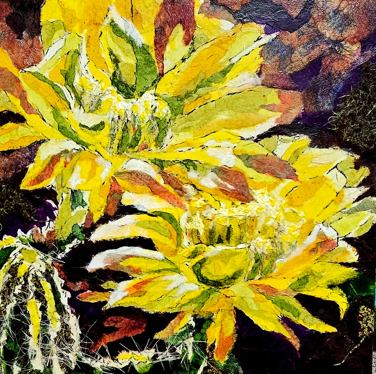 MO Desert Sun — Turquoise Tortoise Gallery