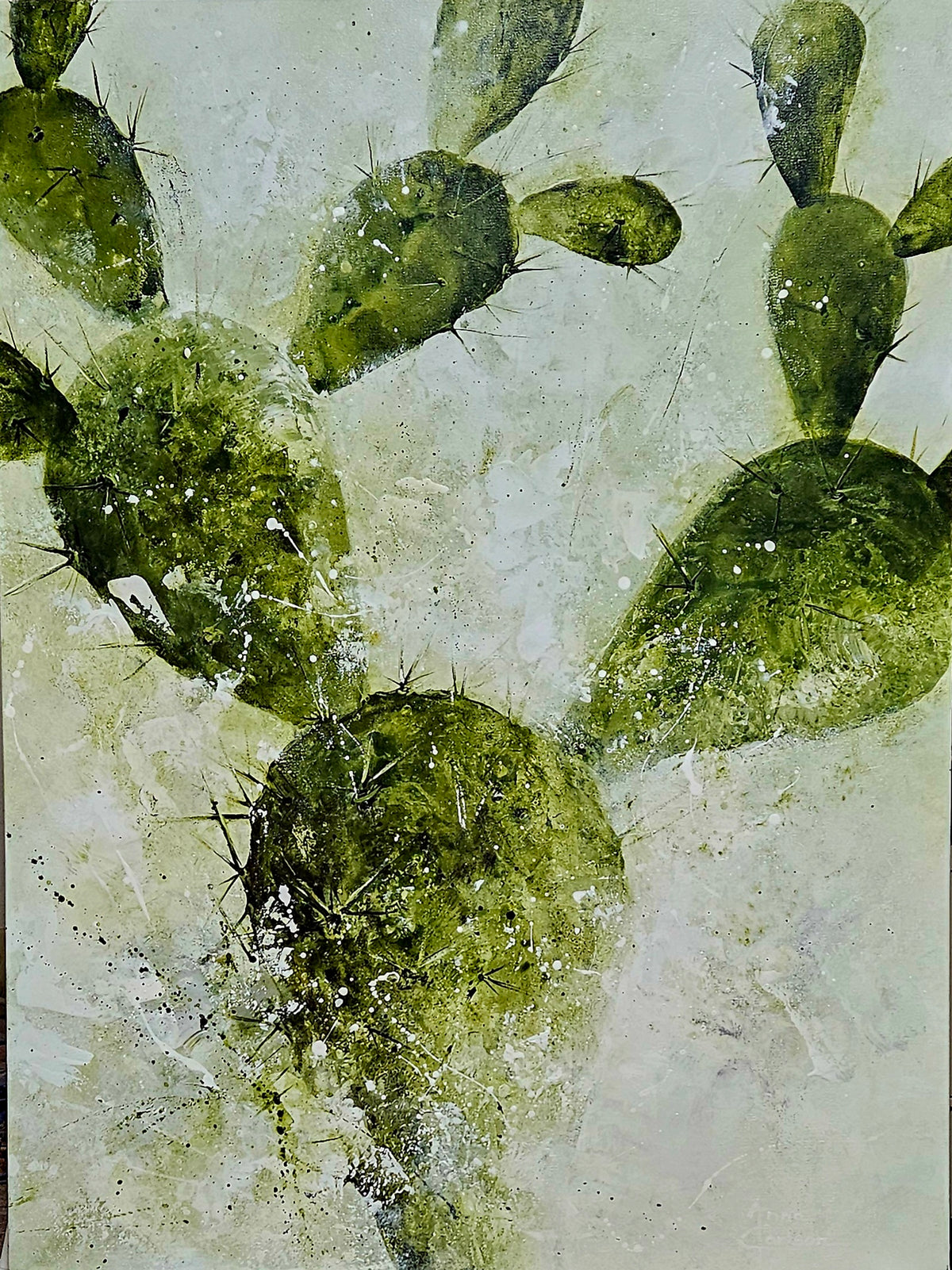 AC Survivor — Turquoise Tortoise Gallery
