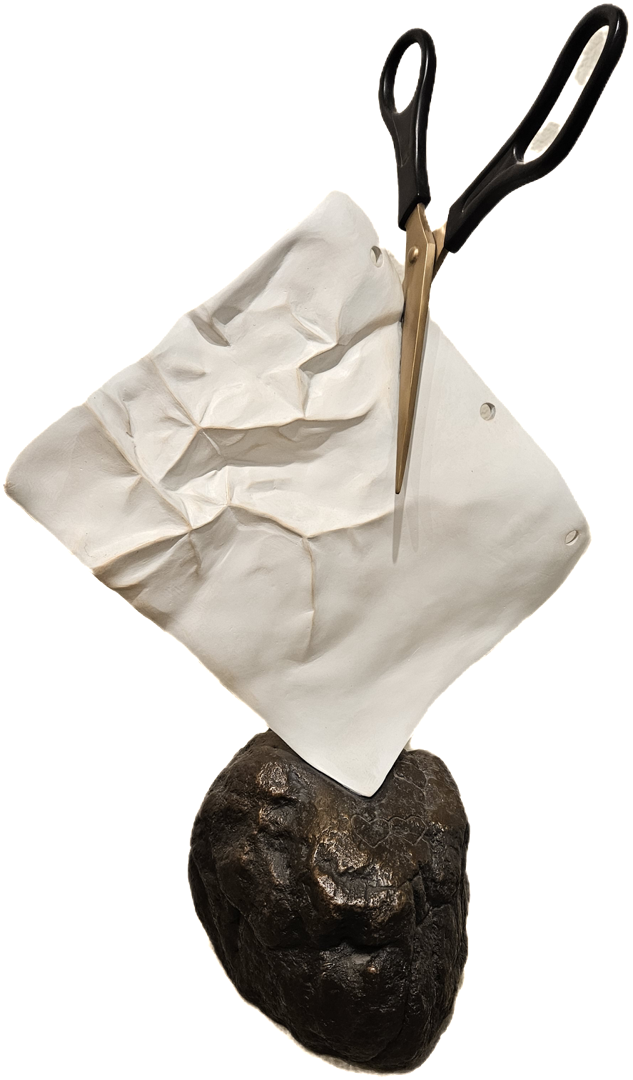 WC Always a Winner — Turquoise Tortoise Gallery