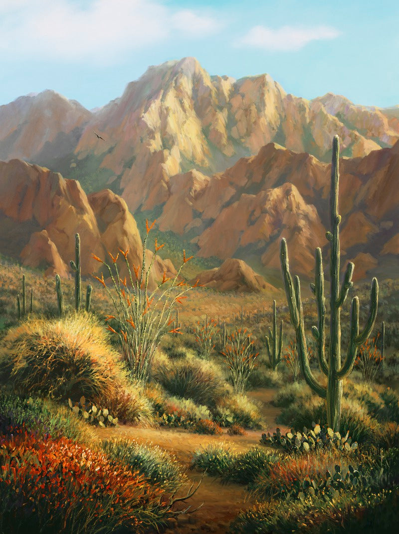 CP Apache Trail — Turquoise Tortoise Gallery