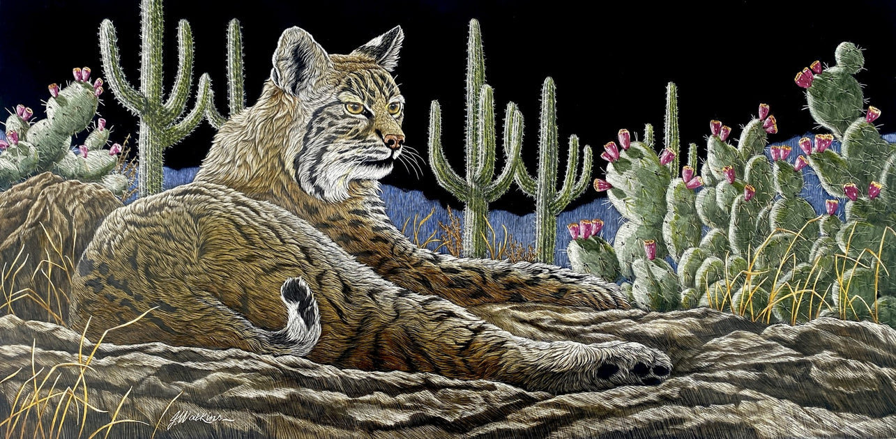 JW Sonoran Sentinel, Bobcat — Turquoise Tortoise Gallery